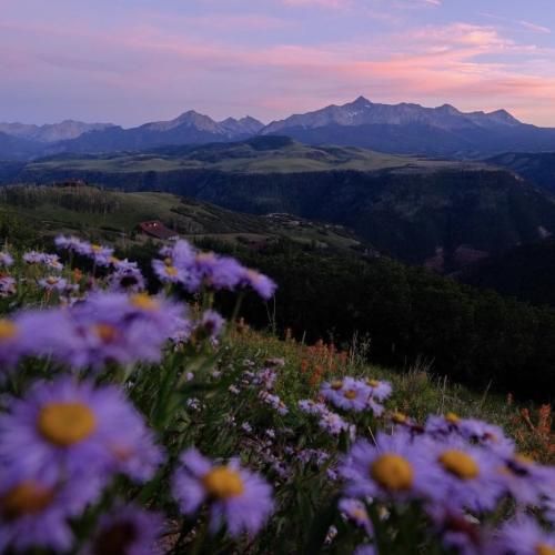 دانلود آهنگ داش علی فقط تو عشقی خوشگل چشم ابرو مشکی ~ لک سانگ